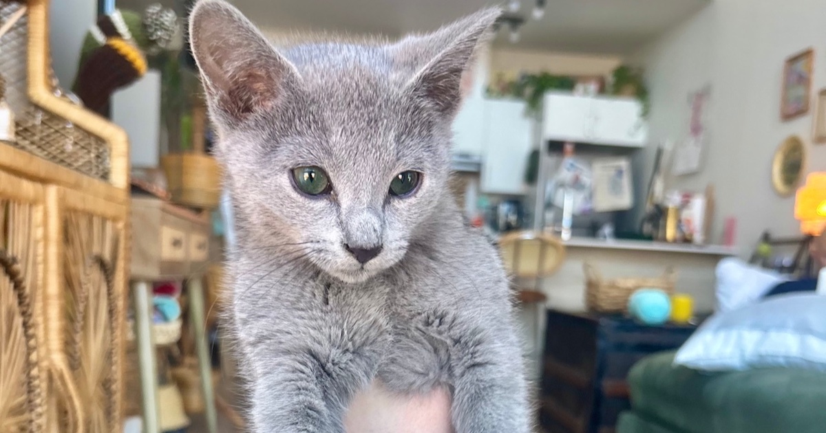 The bliss of being a pet owner | Finding Your Bliss